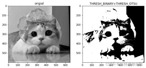 Opencv图像处理 图像噪点与降噪 形体学变换cv2warpperspective Png图片处理后图案边缘有噪点 Csdn博客