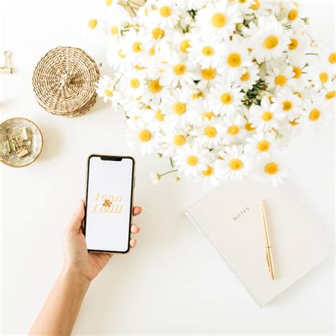 Crafting A Standout Job Application As A New Grad Teacher