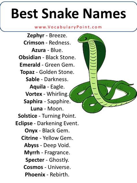 450 Best Snake Names Petfunnycool And Badass Vocabulary Point 450 Best Snake Names Petfunnycool And Badass Vocabulary Point