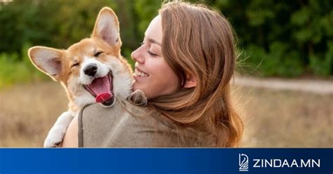 Судалгаагаар нохой баярын нулимс гаргадаг болохыг тогтоожээ