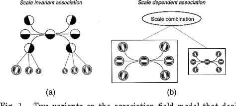 Figure 1 From Spatial Frequency Tuning Of Visual Contour Integration Semantic Scholar