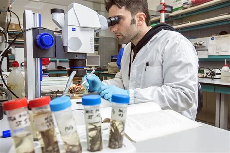 Marine Chemistry And Biology Laboratories BioMarine Lab OGS