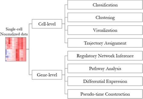 Computational Challenges Of Single Cell Rna Seq Data Download Scientific Diagram
