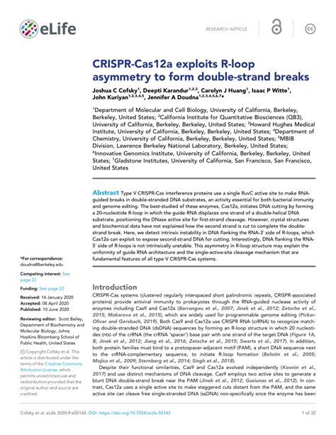PDF CRISPR Cas A Exploits R Loop Asymmetry To Form Double Strand Breaks