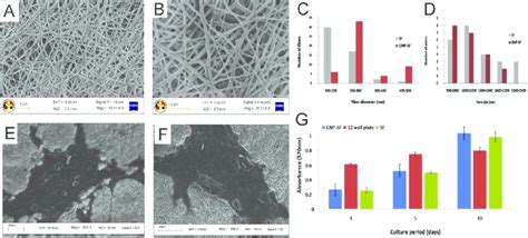 Architecture Of Nanofibers And Culture Of Schwann Cells Over Download Scientific Diagram
