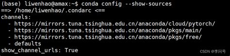 Conda Pytorch Csdn