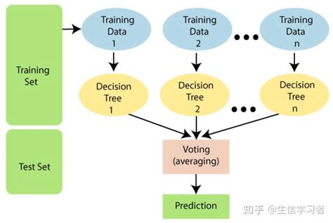 R语言机器学习算法实战系列（四）随机森林算法shap值 Random Forest 知乎