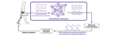 Conceptual Representation Of The Robot Gait Coordination Based On The