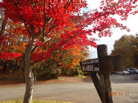 1霧降の滝から monk69のブログ 栃木の山猿日記