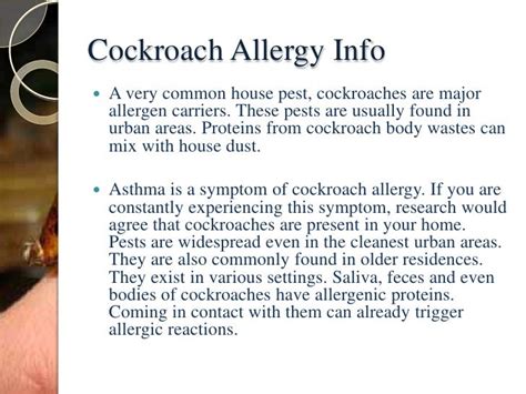 Cockroach Mix Allergy Roach Cockroach Insect