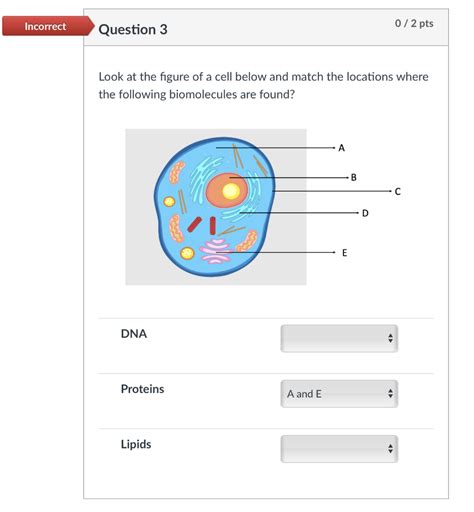 Solved An Atom Loses An Electron To Have A Select Chegg Com