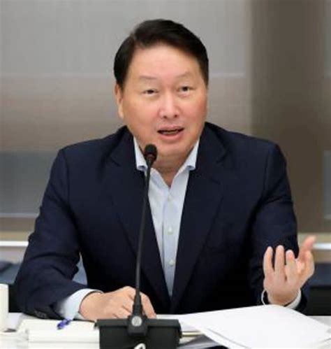 이재용·최태원·정의선 미국·중국 등과 경제협력 앞장 트럼프·시진핑 만나 글로벌 외교