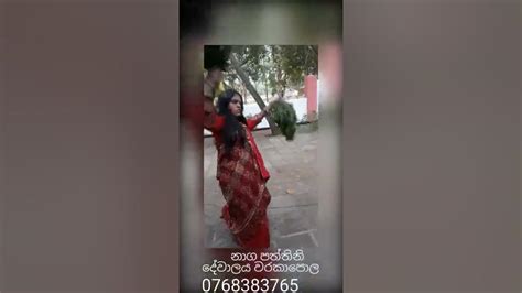 කතරගම දෙවියන් උදෙසා කාවඩි Youtube