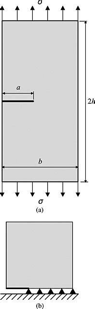 The Geometry And Boundary Conditions Bcs Considered For A The Whole Download Scientific