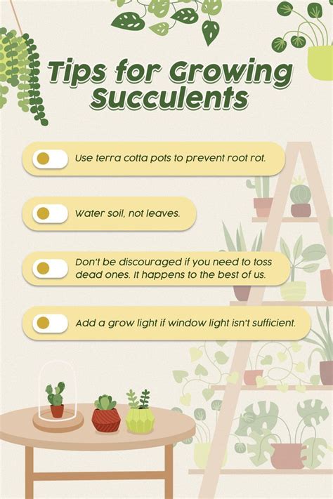 Why Dry Propagation Is The Best Propagation Method For Beginners Artofit