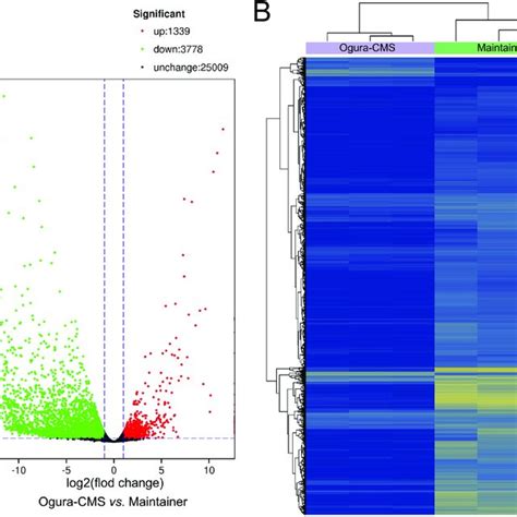 Morphological Features Of Fleshy Roots And Flowers In The Ogura Cms Download Scientific Diagram