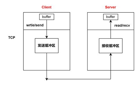 【linux网络】传输层中udp和tcp协议 应用层怎么指定传输层用tcp还是udp csdn博客