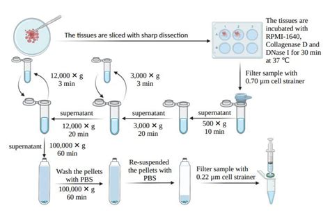An Enrichment Method For Small Extracellular Vesicles Derived From