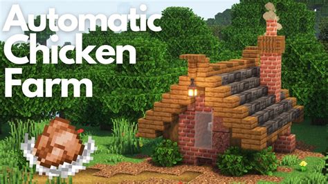 How To Make A Automatic Chicken Farm In Minecraft 1 16 At William Justice Blog