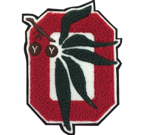 Custom Chenille Patches Custom Patches For Letterman Jackets