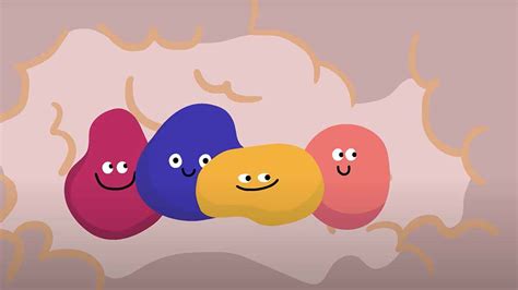 Հայերեն Armenian Amaze