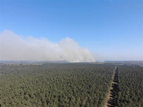 La Breille Les Pins Plusieurs Hectares De Forêt Sont Partis En Fumée Dans Un Incendie Saumur