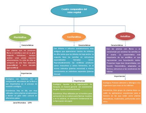 Mapa De Jared Pdf Plantas Ecología
