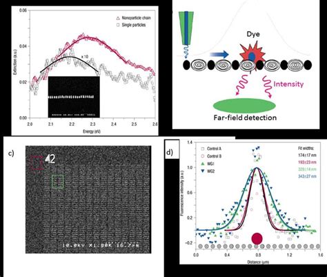7 Light Guiding Via Near Field Coupling Between Adjacent Plasmonic