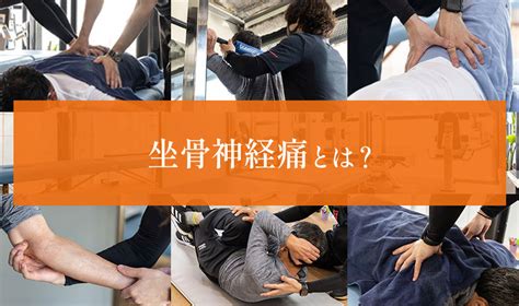 坐骨神経痛とは原因や予防改善方法について解説 横浜元町 ととのえ