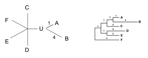 Python For Bioinformatics Neighbor Joining