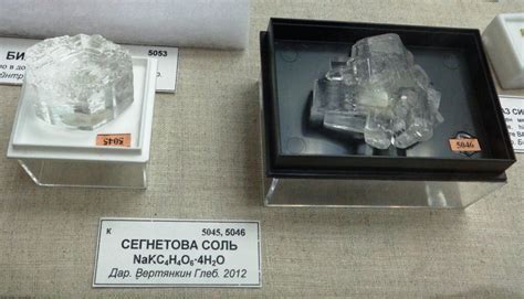 СЕГНЕТОВА СОЛЬ | Эпонимы и Мы | Дзен