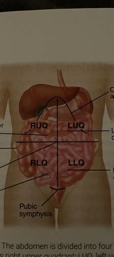 Medical Terminology EMT Flashcards Quizlet Medical Terminology EMT Flashcards Quizlet