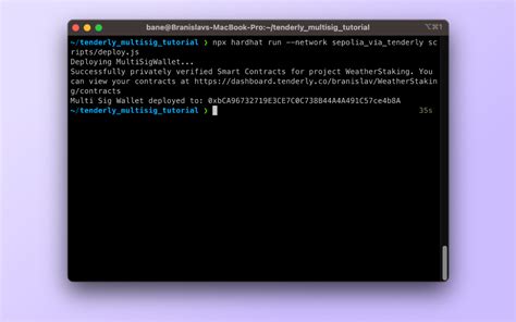 How To Deploy A Multisig Wallet With Hardhat And Tenderly