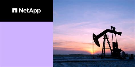 Cgg E Series Case Study Netapp