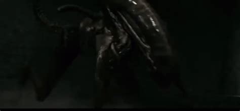 Download Xenomorph Queen Meme Png  Base