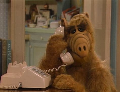 Alf Phone Memes