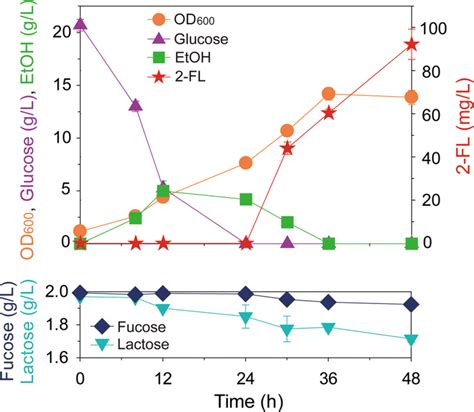 Batch Fermentation Profiles Of Engineered Saccharomyces Cerevisiae