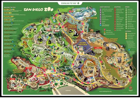 San Diego Zoo List Of Major Zoos In The Us Wiki Fandom