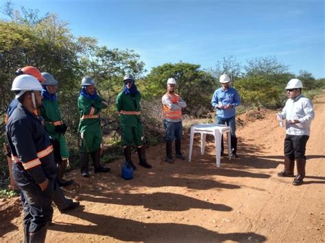 Supressão De Vegetação Prime Ambiental