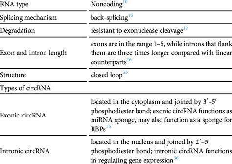 Basic Characteristics Of Circular Rna Download Scientific Diagram