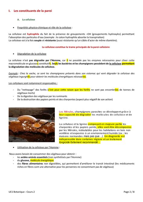 Ue1 B Cours 2 Warning Tt Undefined Function 22 Warning Tt