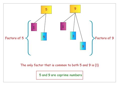 Examples Of Co Prime Numbers At Alica Martel Blog