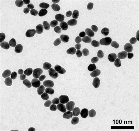 1 30 Nm Citrate Stabilized Gold Nanoparticles Synthesized Based On The