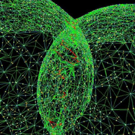 Reconstructing A Self Intersecting Surface Download Scientific Diagram