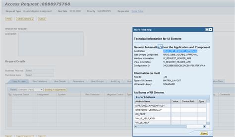 Customizing Access Request And Approval Screens In Sap Community