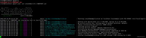 项目部署到linux linux可执行文件可以直接部署么 csdn博客