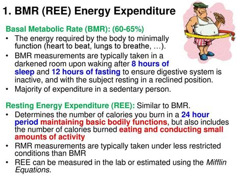 Explain The Difference Between Bmr And Rmr Isabelkruwprince