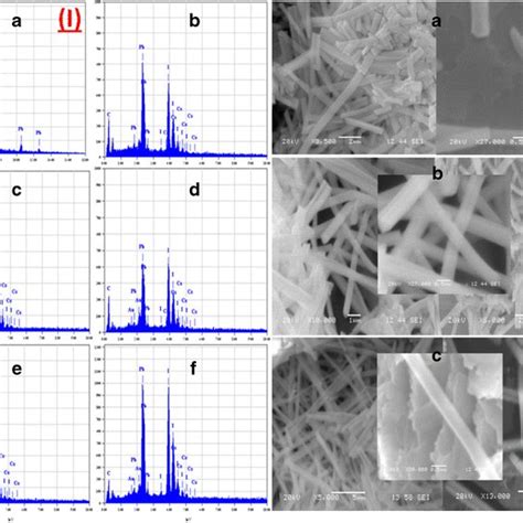 a eds patterns of a pure and b 1 wt c 3 wt d 5 wt e