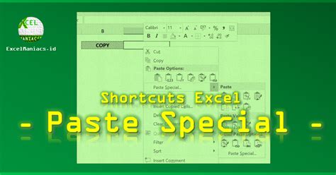 paste special excel excelmaniacs