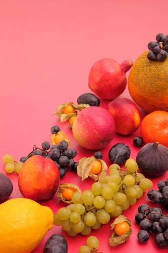 밝은 배경에 포도 자두 무화과 멜론 천도 복숭아 만다린 레몬 석류 Physalis 사과의 정물 0명에 대한 스톡 사진 및 기타 이미지 Istock